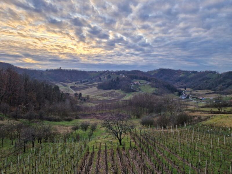 Juliana House ⋆⋆⋆ - Visit Cestica